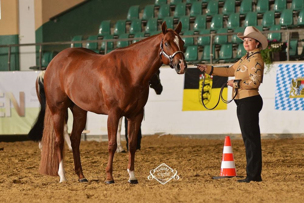31. EWU German Open: Der Saisonhöhepunkt vom 20. September - 01 ...